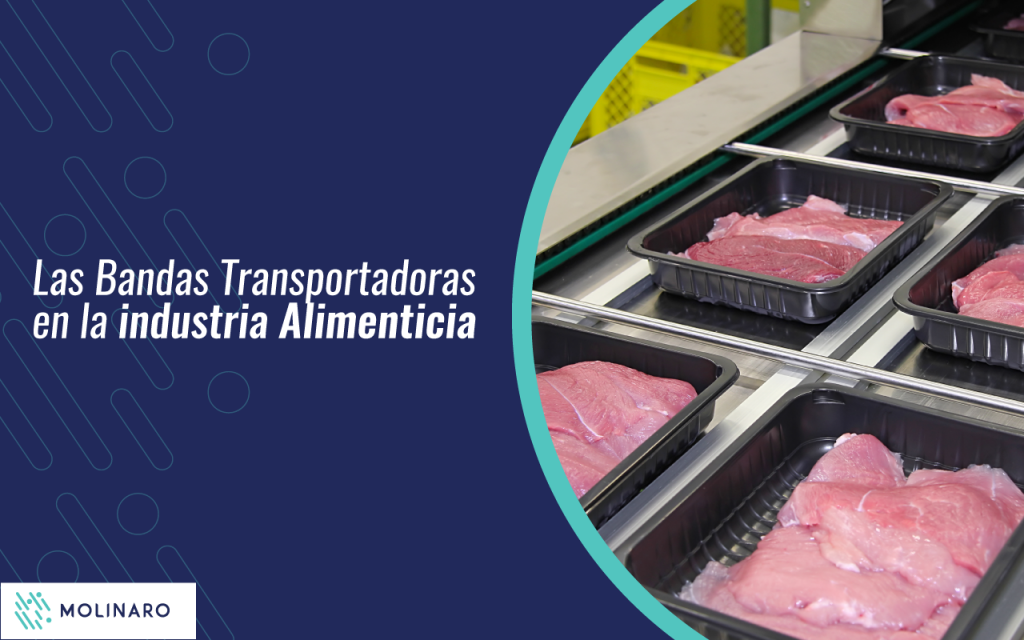Importancia de las bandas transportadoras en la industria alimenticia ...