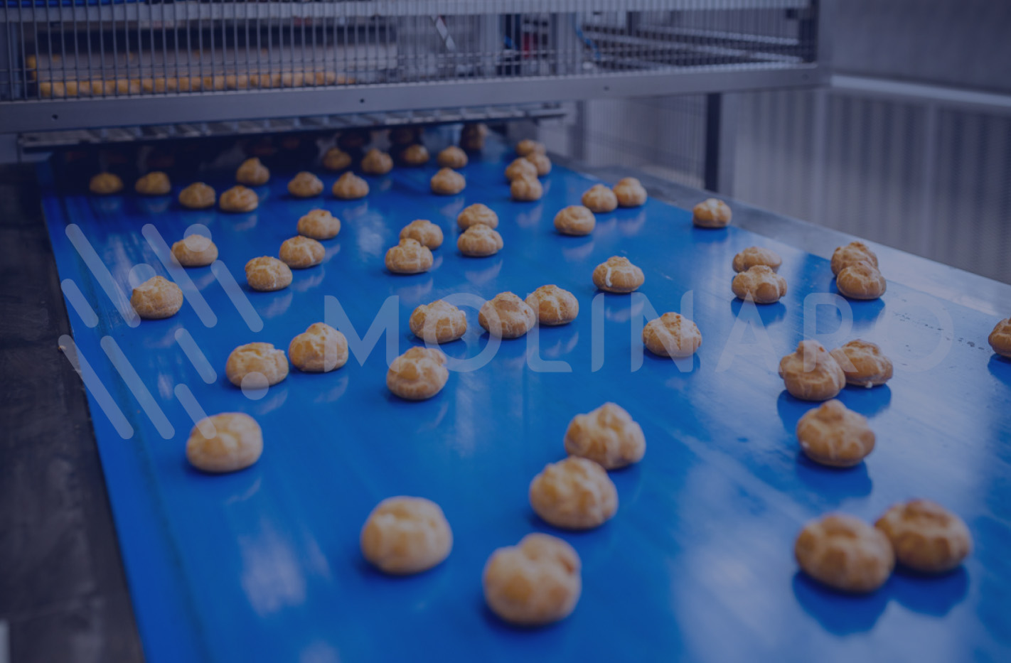 Bandas Grado Alimenticio – Molinaro Cía. Ltda.