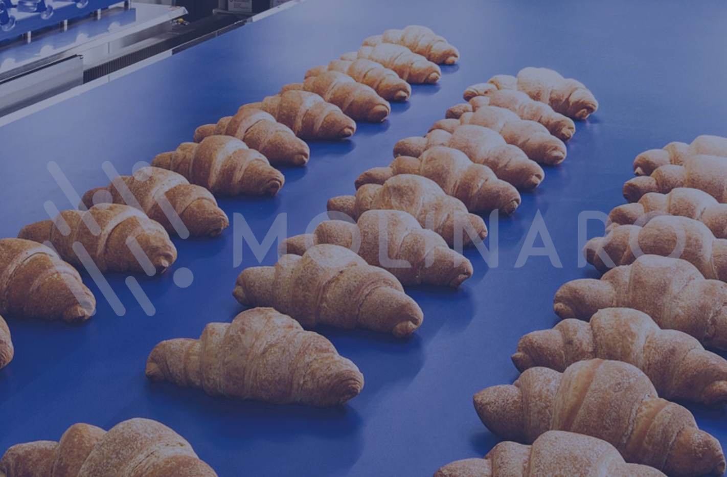 Bandas Sintéticas para Bakery – Molinaro Cía. Ltda.